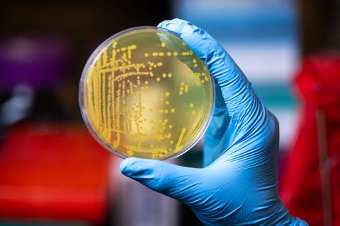 What is Phenomics? | PNNL